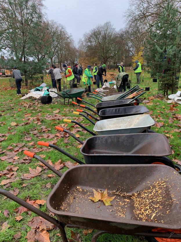 Tree Planting in Millfields Park this winter | Millfields Users Group
