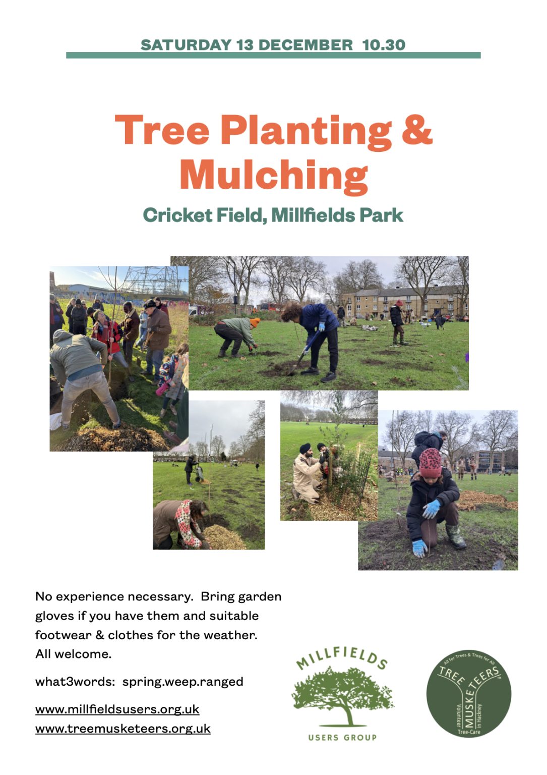 Winter Planting in Millfields Park | Millfields Users Group